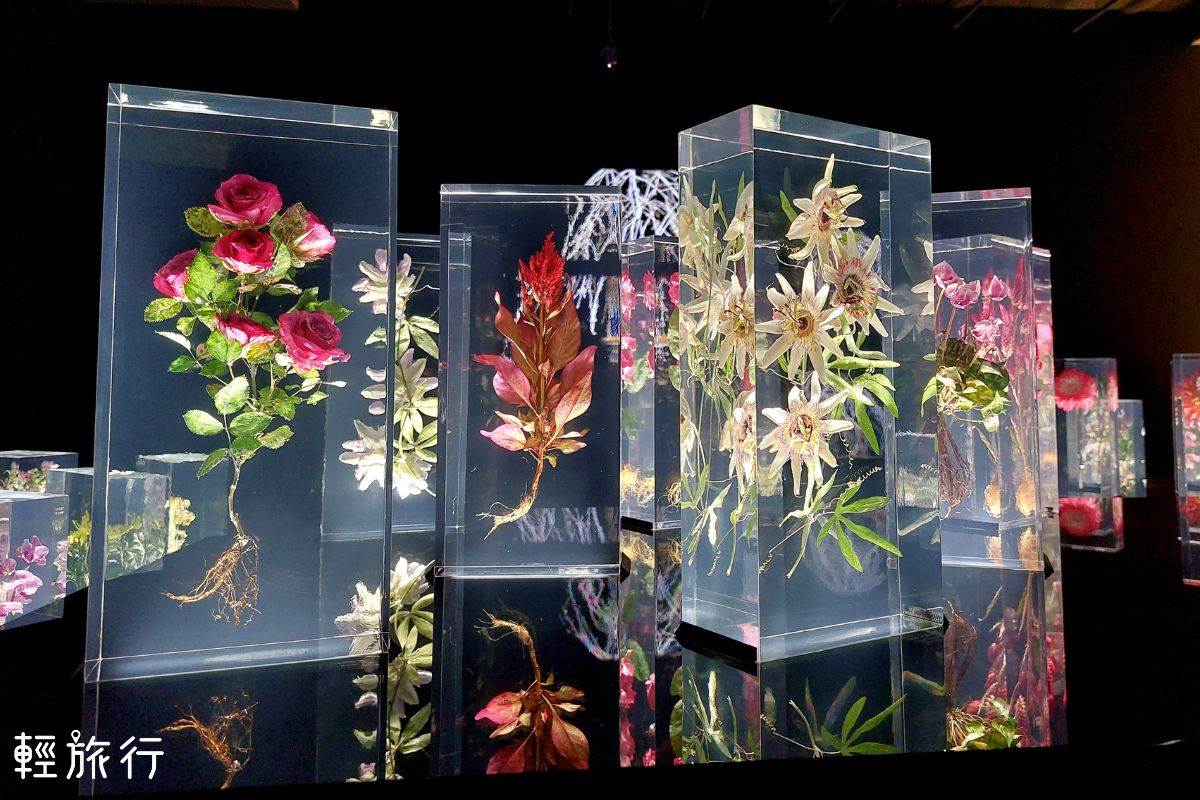 大直百貨再+1！NOKE忠泰樂生活搶先看：設計亮點、必逛店家、交通資訊看這篇-輕旅行